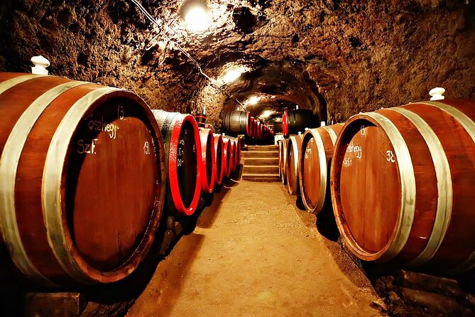 Half Day Tokaj Wine Tasting Tour in Mád Hungary with lunch - Final Thoughts: Is This Tour Right for You?