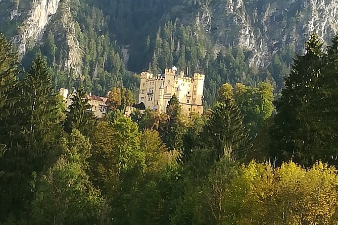 Half day tour private from Munich to Neuschwanstein Castle - Transportation & Timing