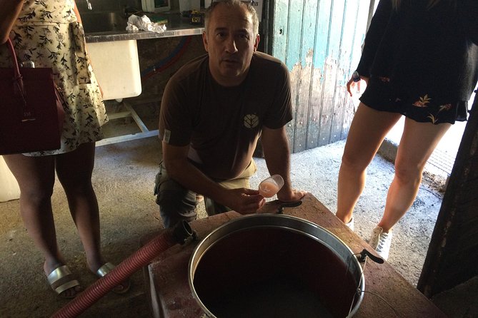 Half day wine tour. Private tour from Carcassonne and around. - The Sum Up: Who Will Love This Tour?