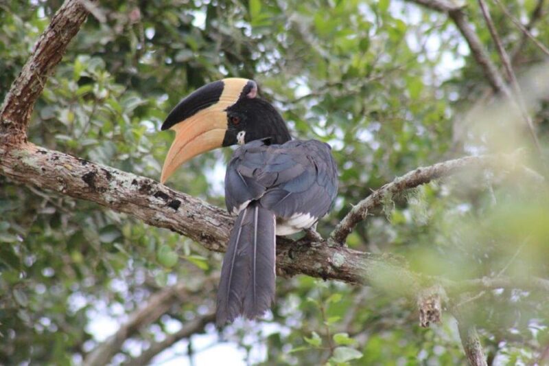 Hambantota Port Cruise: YALA Wildlife Safari (6 hours) - Who Should Consider This Tour?