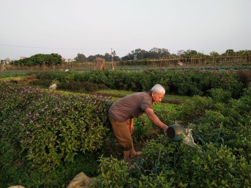 Hanoi Farm Tour and Cooking Class with Local Family - Authentic, Intimate, and Edifying