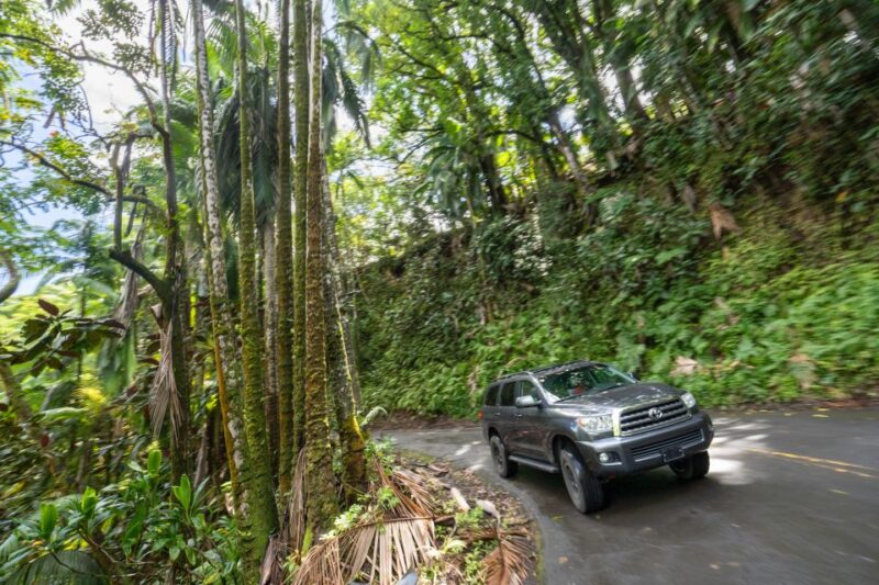 Hawaii: All-Inclusive Volcanoes and Waterfalls Private Tour - The Sum Up: Who Is This Tour Best For?