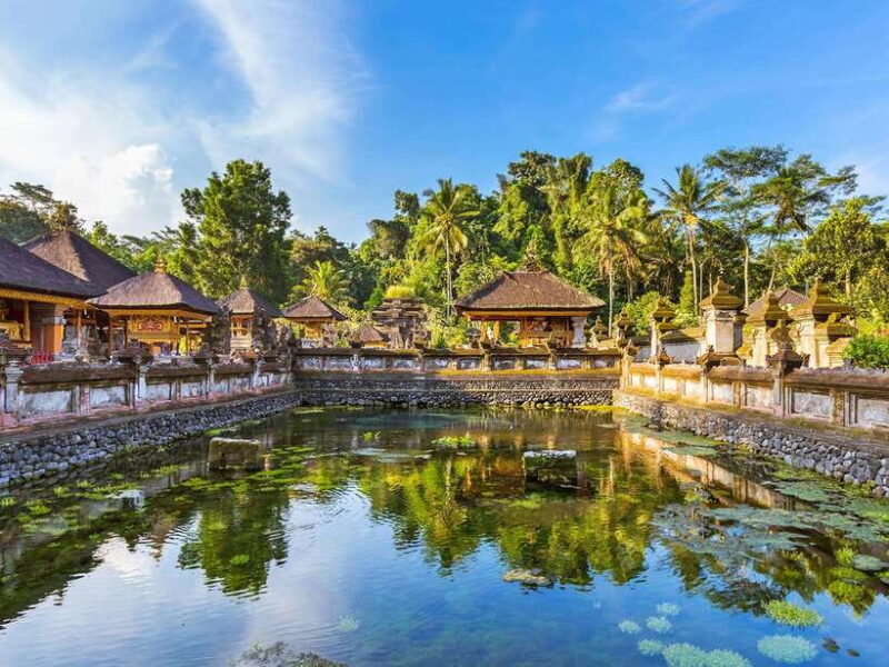 Heart of Ubud: Culture, Nature & Scenic Wonders - Marveling at Tegalalang Rice Terraces