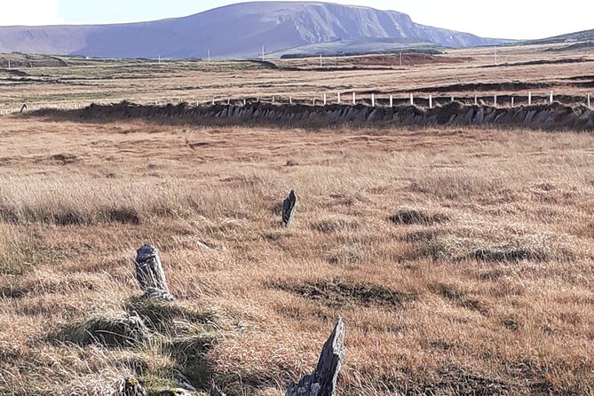 Historical Walking Tours in Valentia and the Skellig Region - The Value Proposition