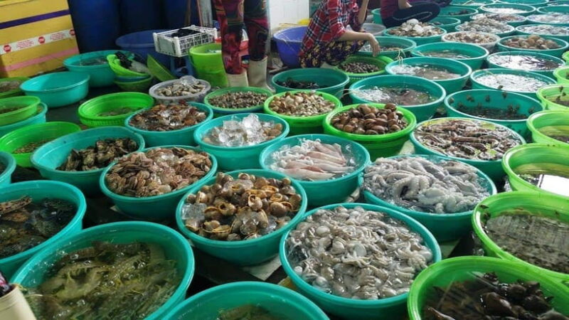 Ho Chi Minh City: Can Gio Monkey Island Day Trip - Practical Details: Comfort, Timing, and Cost