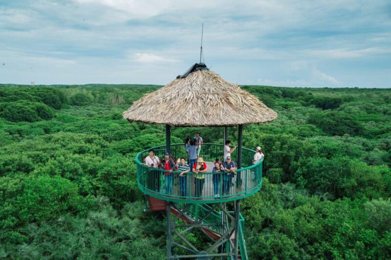 Ho Chi Minh: Private Can Gio Mangrove Forest 1 Day Tour - Panoramic Views and Challenge