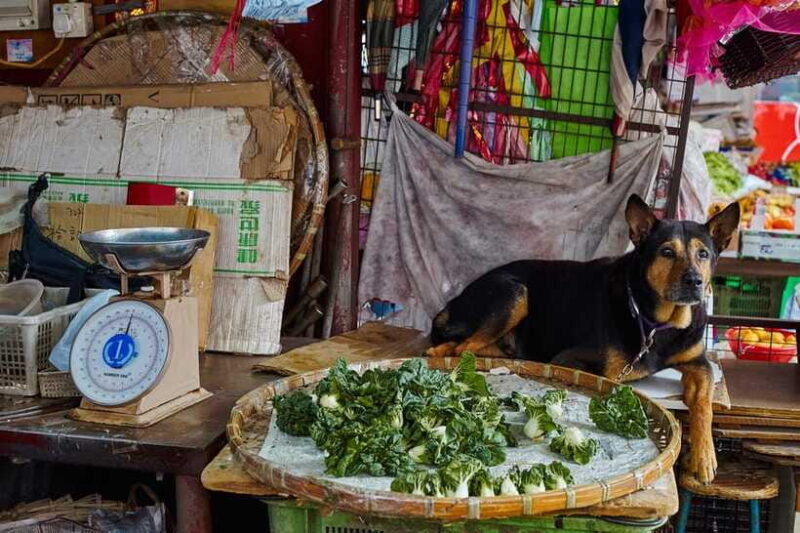 Hong Kong: photographic tour of Kowloon's Yau Tsim Mong district. - The Sum Up: who should consider this experience?
