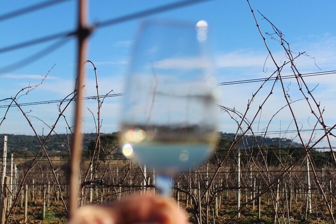Horse riding in the vineyards of Grimaud + wine tasting - Who This Tour Suits Best