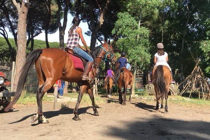 Horse Sanctuary & Trail Ride - Practical Details & Tips