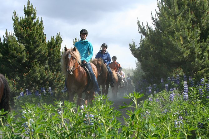 Icelandic Horseback Riding Tour from Reykjavik - Post-Ride Comforts and Extras
