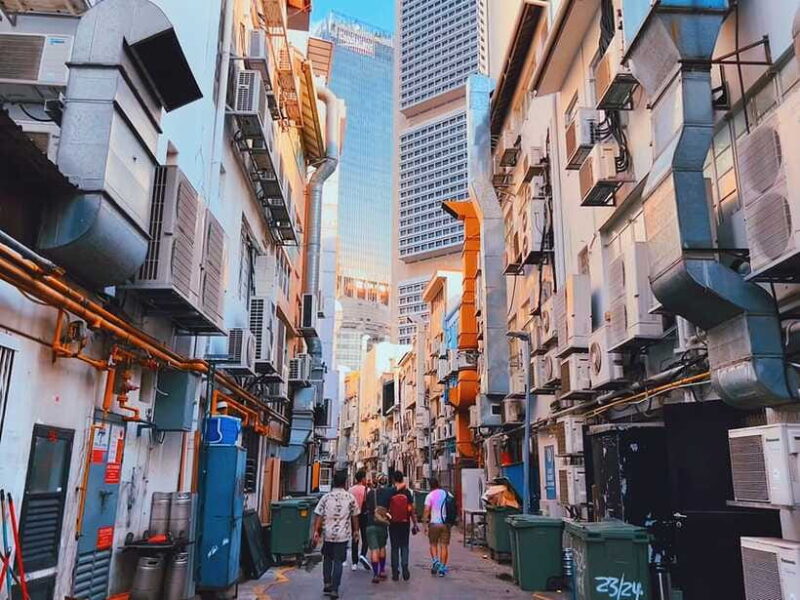 Inclusivity Walking Tours in Singapore - Final Thoughts: Who Should Consider This Tour?
