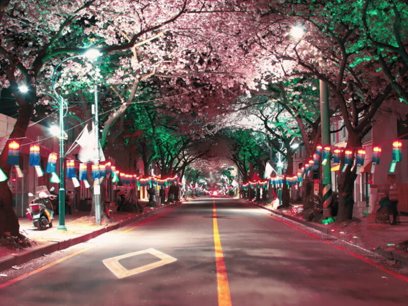 Jeju East: Cherry Blossom Early Bird Tour with Hotel Pickup - Who Will Love This Tour?