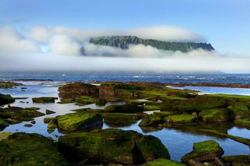 Jeju Island: Customized Private Full-Day Van Tour - Who Should Consider This Tour?