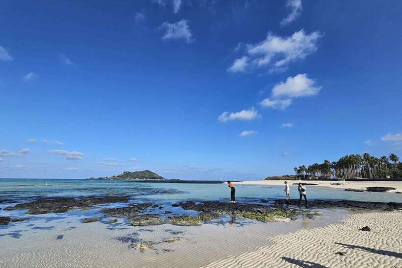 Jeju Island: Full-Day SouthWest Bus Tour with Entry Fees - The Sum Up