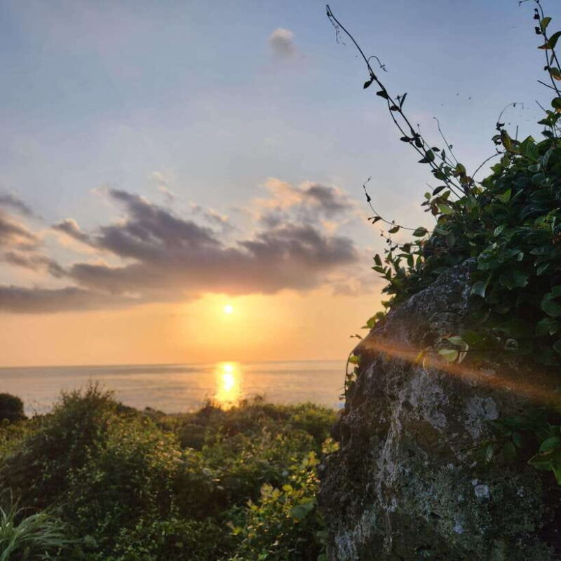 JEJU ISLAND : Higlights SUNRISE guided Tour - Transportation and Group Size