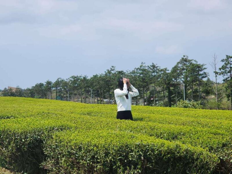 Jeju Island: Southern Top UNESCO Spots Tour - FAQ