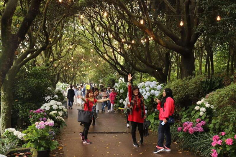 Jeju island: Van tour with a guide who the most loves JEJU - Local Flavors and Cultural Insights