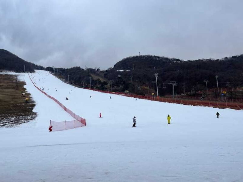 Jisan Forest Ski Resort One Day Tour - Itinerary Breakdown