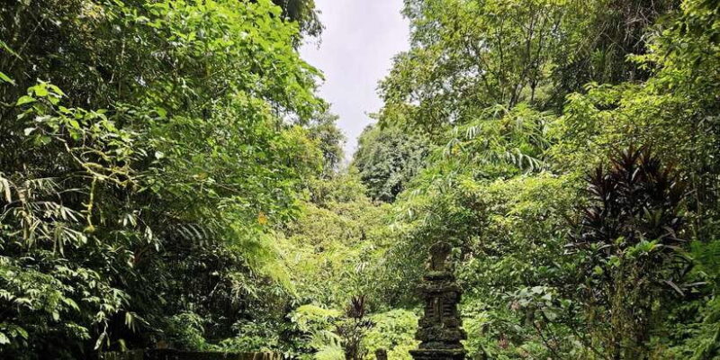 Jungle Trekking at Mt. Batukaru, scenic Waterfall & village - Frequently Asked Questions