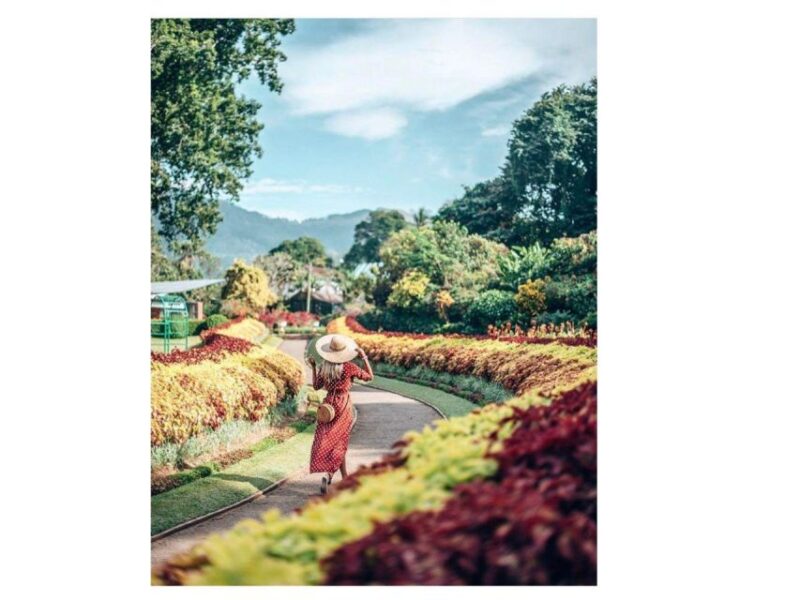 Kandy: City Tuk-Tuk Day Tours with a Local Guide - Authentic, Fun, and Flexible
