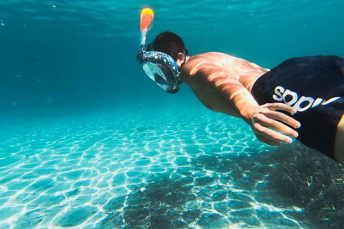 Kayak tour with aperitif and dolphins - FAQ