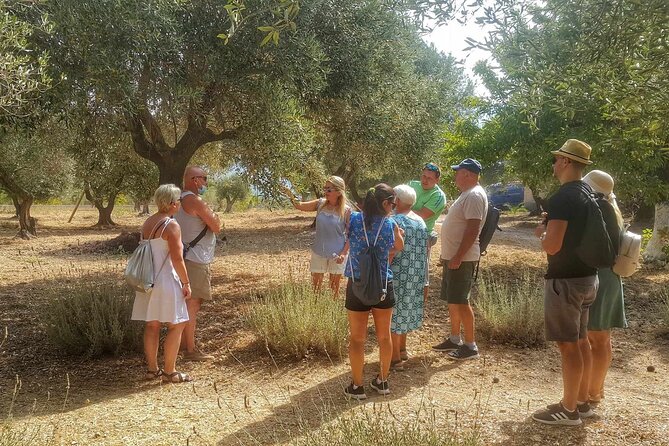 Kefalonia: Private Olive Oil, Honey & Wine Tasting Experience - Final Thoughts: Who Will Love This Tour?