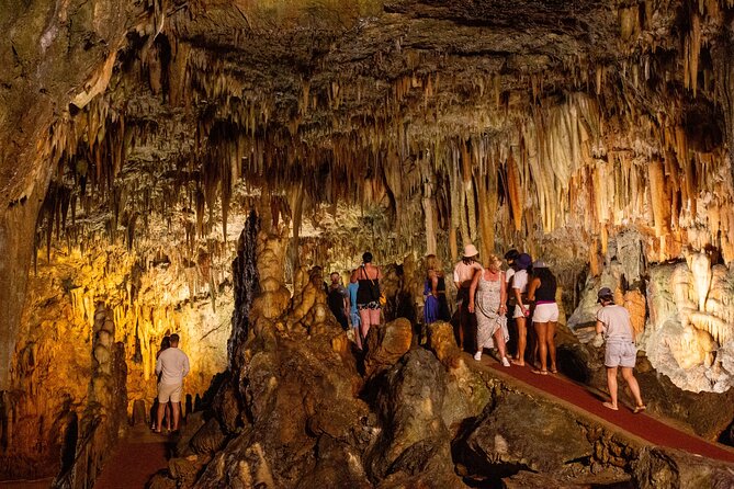 Kefalonia's Treasures - Exclusive Private Journey - What’s Included and What’s Not