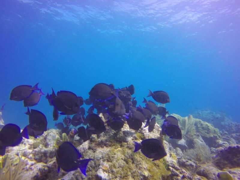 Key Largo: Discover Scuba Diving Experience - Who Should Consider This Experience?