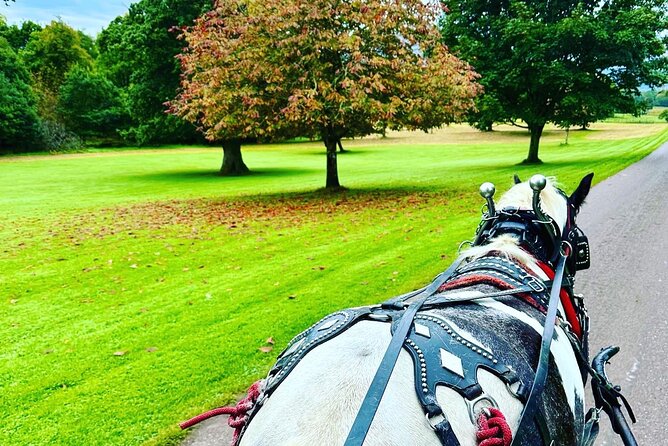 Killarney Jaunting Car Tour - The Sum Up: Is the Killarney Jaunting Car Tour Worth It?