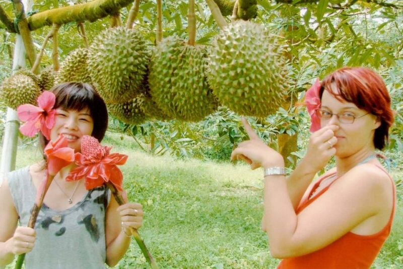 Ko Samui: 4WD Wild Jungle Safari Tour with Lunch - The Sum Up: Who Should Book This?