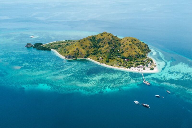 Komodo Island: Private Day Tour by Speedboat - The Sum Up
