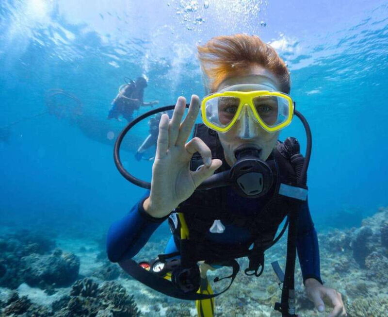 Kota Kinabalu: Snorkeling & Island Hopping Sapi & Manukan - The Value of This Experience