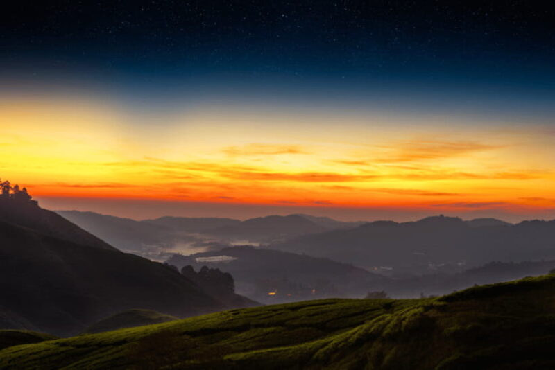Kuala Lumpur: Cameron Highlands Highlights & Batu Caves Tour - Who Is This Tour Best For?
