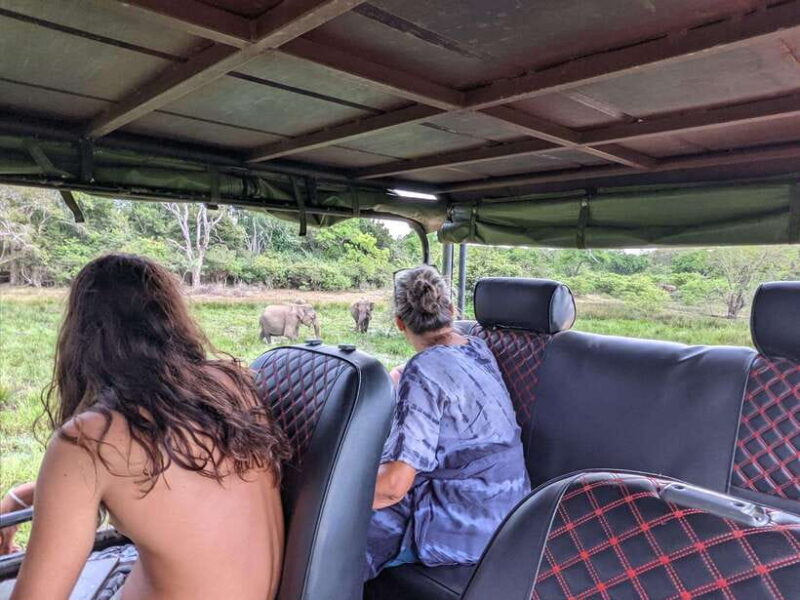 Kumana National Park : Morning or Afternoon Safari Tour - The Sum Up