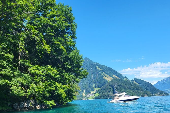 Lake Lucerne boat tour for an afternoon! - Who Will Love This Tour?