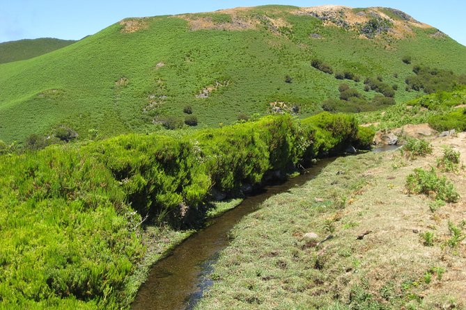 Lakes of Madeira- Alecrim Full day walk - Cancellation and Booking