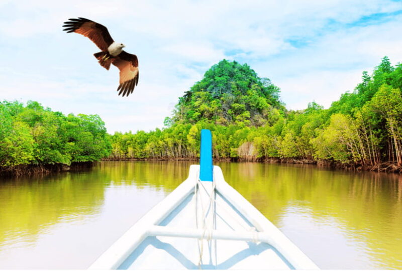 Langkawi: Private Car and Mpv Island Tour - Who Should Consider This Tour?