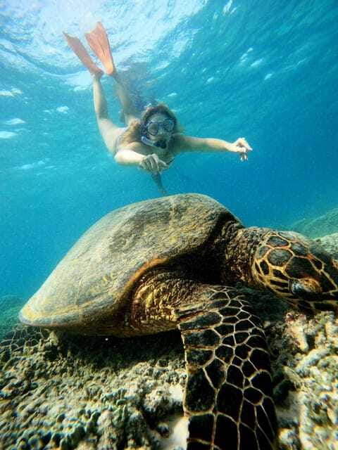 Leaves From Lombok, Full Day Explore 3 Gilis And Snorkeling - Who Is This Tour Best For?