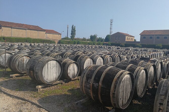 Les Baux de Provence : Wine day Tour : 7 hours - Who Will Love This Tour?