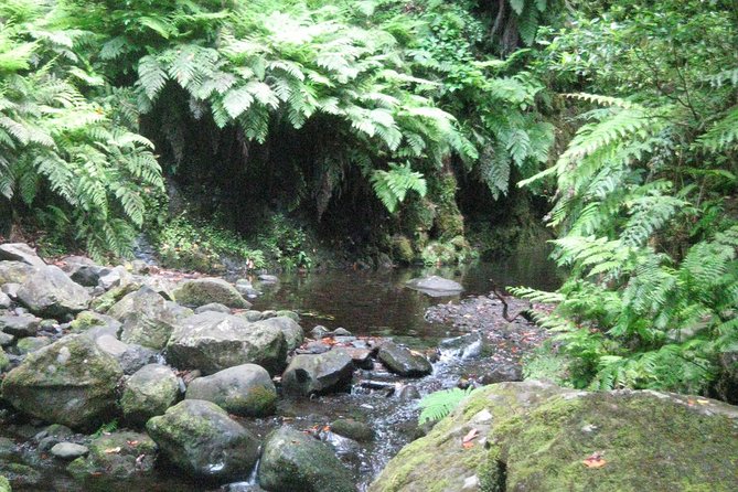 Levada do Rei - Ribeiro Bonito (Full Day Walk) - Final Thoughts