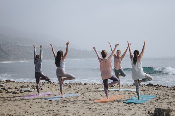 Lezioni di Surf per Beginner e Intermedi (6 persone a istruttore) - Who is This Surf Lesson Best For?