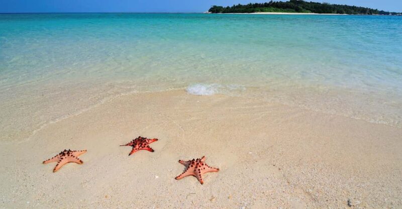 LITTLE BORACAY- CALATAGAN BATANGAS DAY TOUR (FROM MANILA) - Frequently Asked Questions