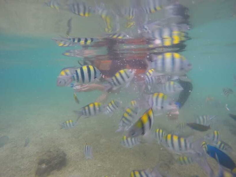 Lombok: Gili Islands Boat Trip with Snorkeling - FAQ