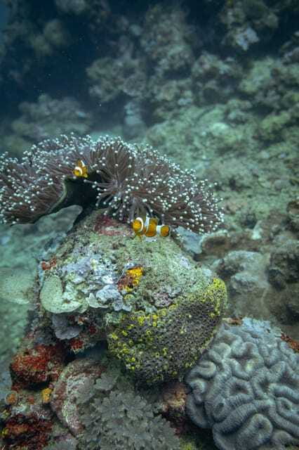 Lombok: Secret Gili Islands Snorkeling Tour - The Value of the Tour