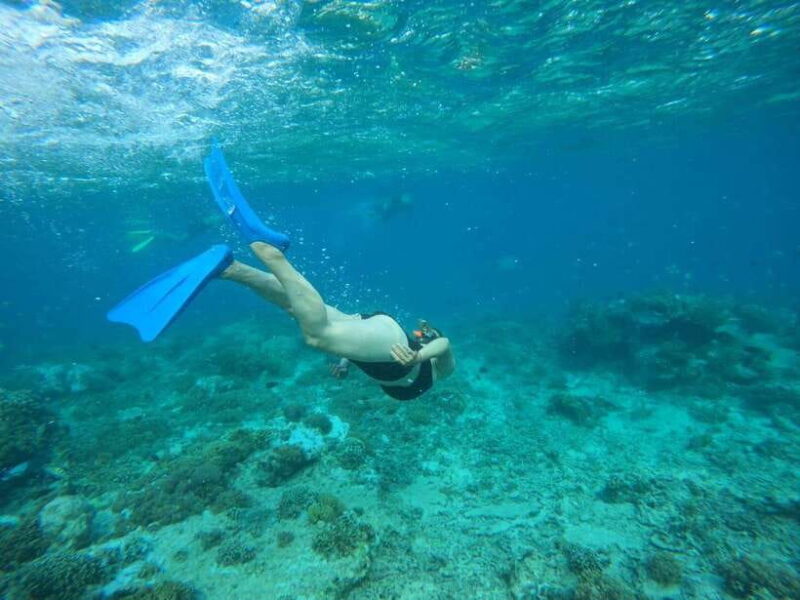 Lombok: Snorkeling to Gili Nanggu, Sudak & Kedis (Private) - Authentic Feedback from Travelers