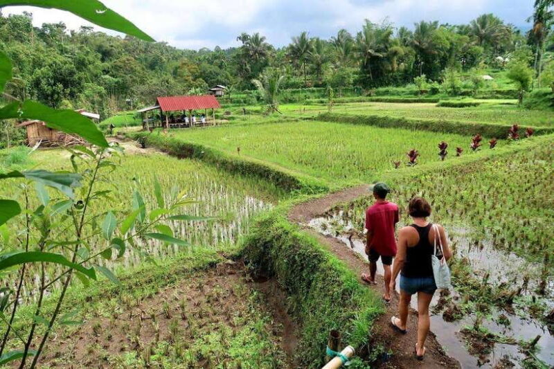 Lombok: Tetebatu Walking Tour with Monkey Forest & Waterfall - Practical Tips for the Trip
