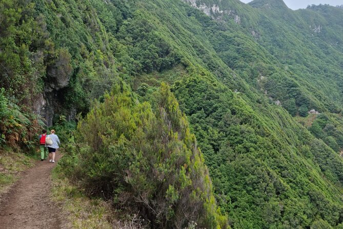 Madeira Porto da Cruz to Machico Self Hiking Tour with Transfer - Authentic Experiences and Testimonials