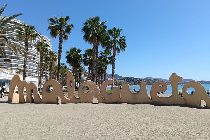 Malaga Bike Tour - Wine & Tapas - Who Should Consider This Tour?