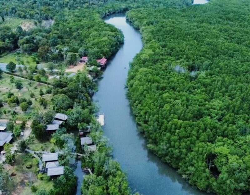 Mangrove Day Tour - Bintan - Practical Tips for Visitors