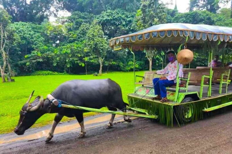 Manila: Villa Escudero: Day Tour w/Lunch Transfers PRIVATE - The Sum Up: Is It Worth It?